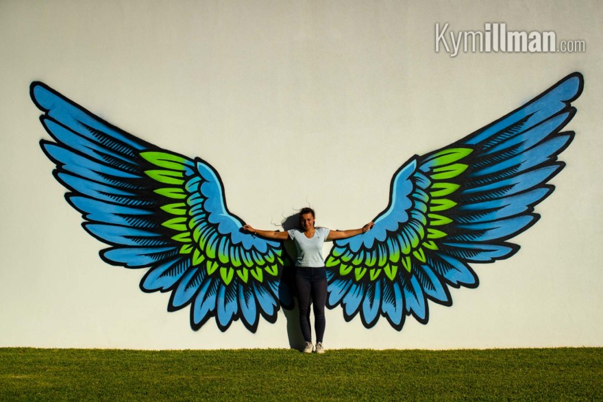 Flying High | Lancelin.com.au